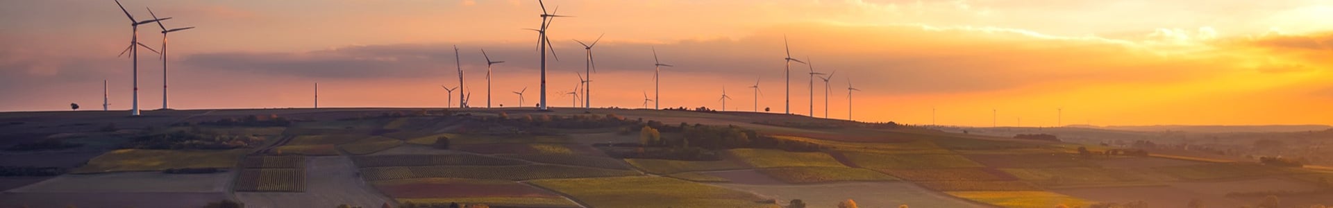 Top tips for green energy diversification