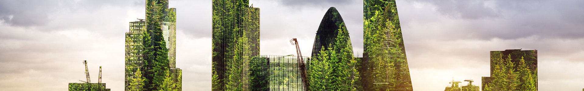 Clarke Willmott Sets Net Zero Targets