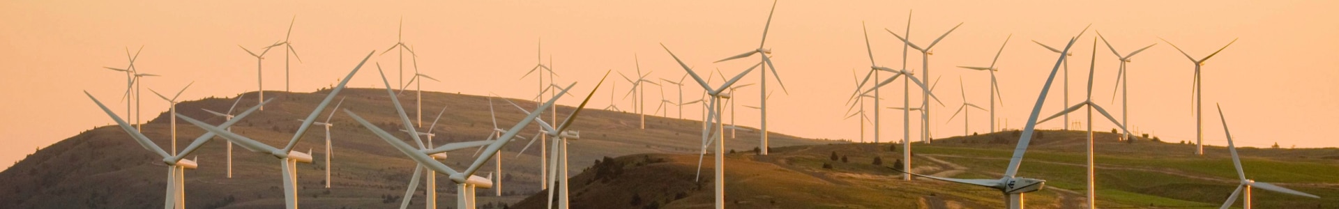 Focus on Our Energy, Infrastructure and Natural Resources Team